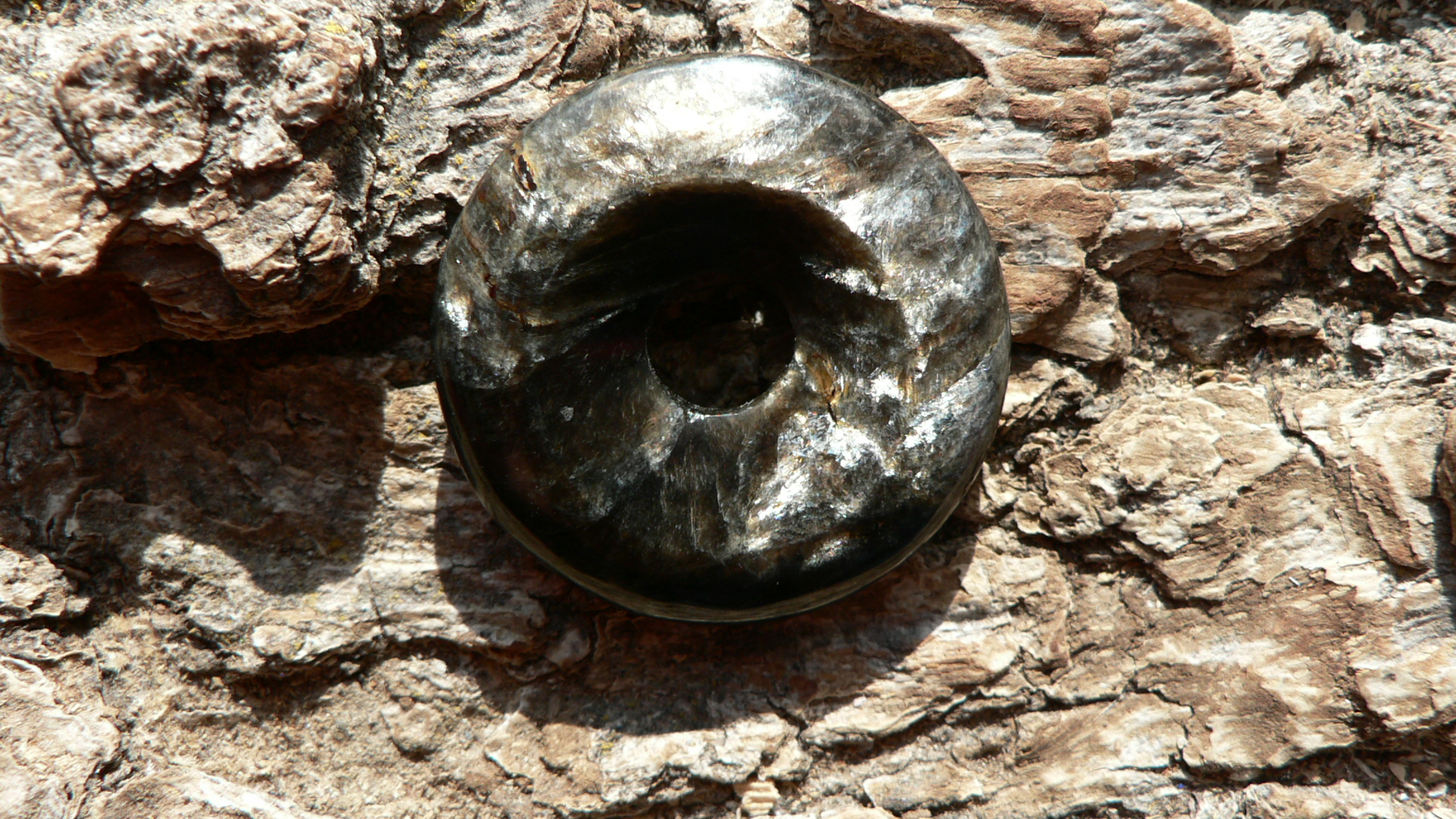 MusKa025 Donut Muskovit Glimmer 30mm AA incl. LB - Wandelbars Steinewelt